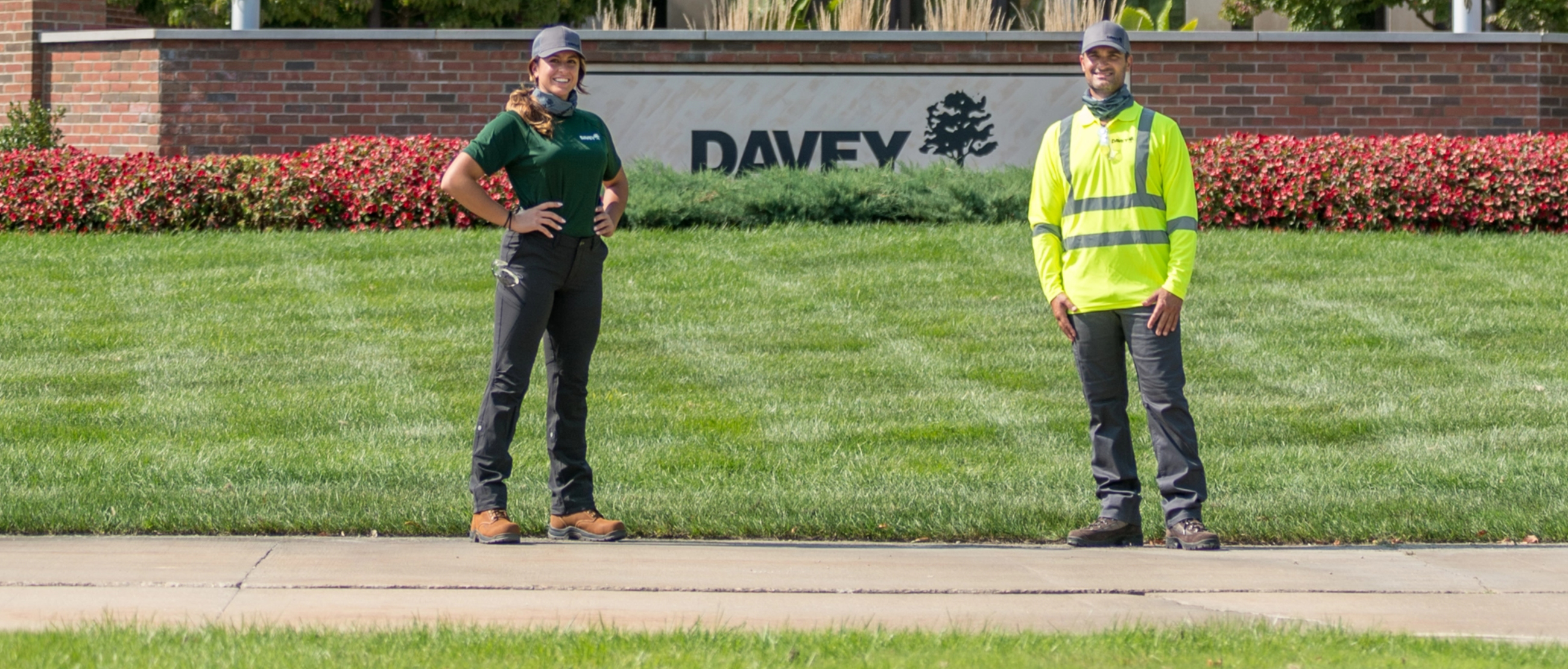 Professional Tree Services by Davey Certified Arborists | Davey Tree